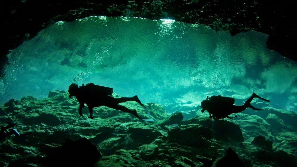 Diving In Cenotes: Guide To The Yucatan, Mexico