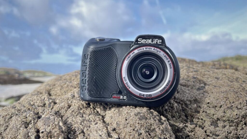 8 Best Cheap Underwater Cameras For Scuba Diving [2026]