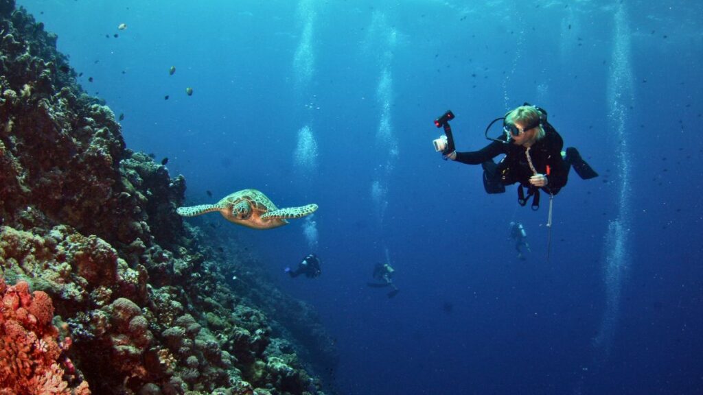 Why Become A Scuba Diver? 5 Life-Changing Benefits