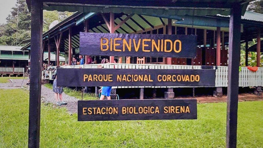 Corcovado National Park In Costa Rica: Complete Guide [2026]